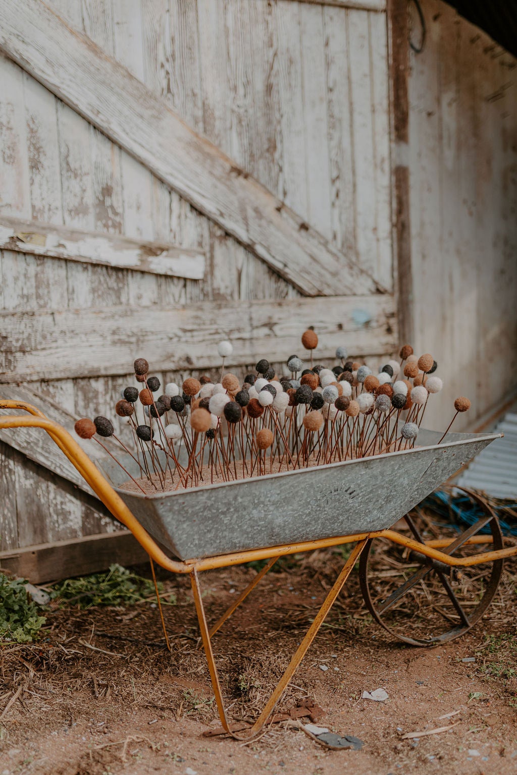 Alpaca Flowers | Quentin Park Alpacas & Studio Gallery