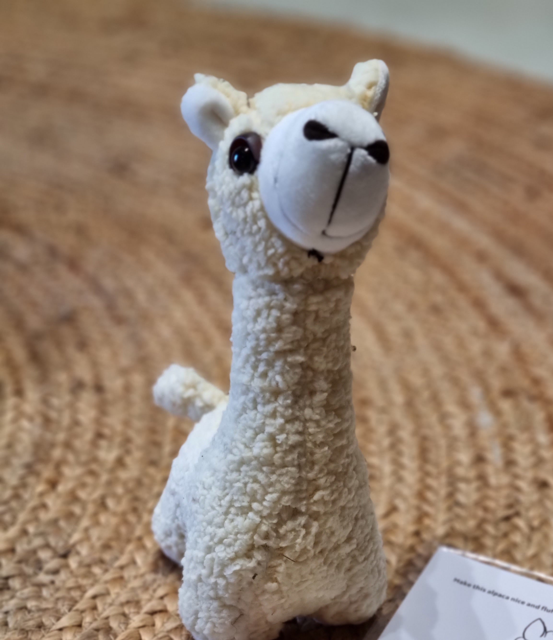 plus alpaca