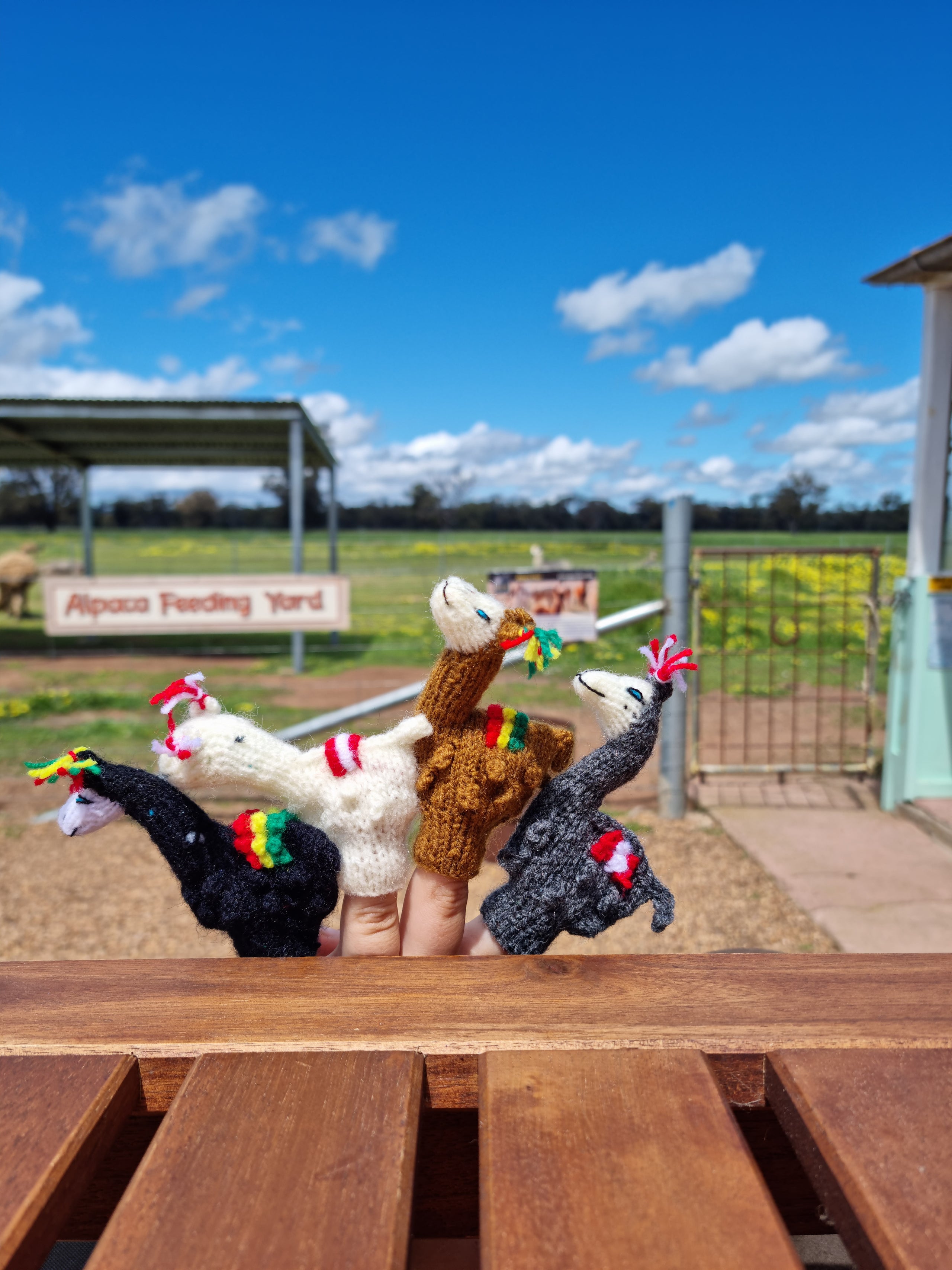Alpaca Finger Puppet Set of 4 | Quentin Park Alpacas & Studio Gallery