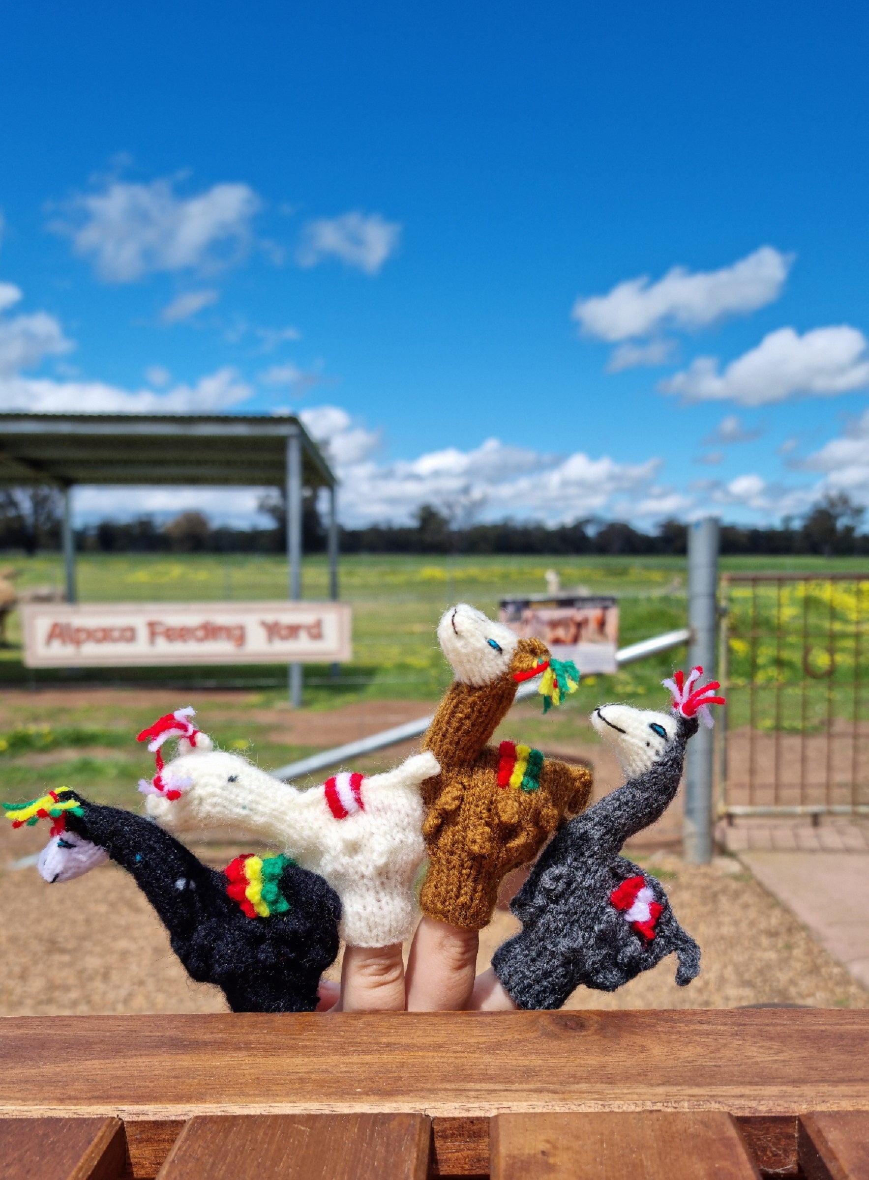 Alpaca Finger Puppet - Individual | Quentin Park Alpacas & Studio Gallery