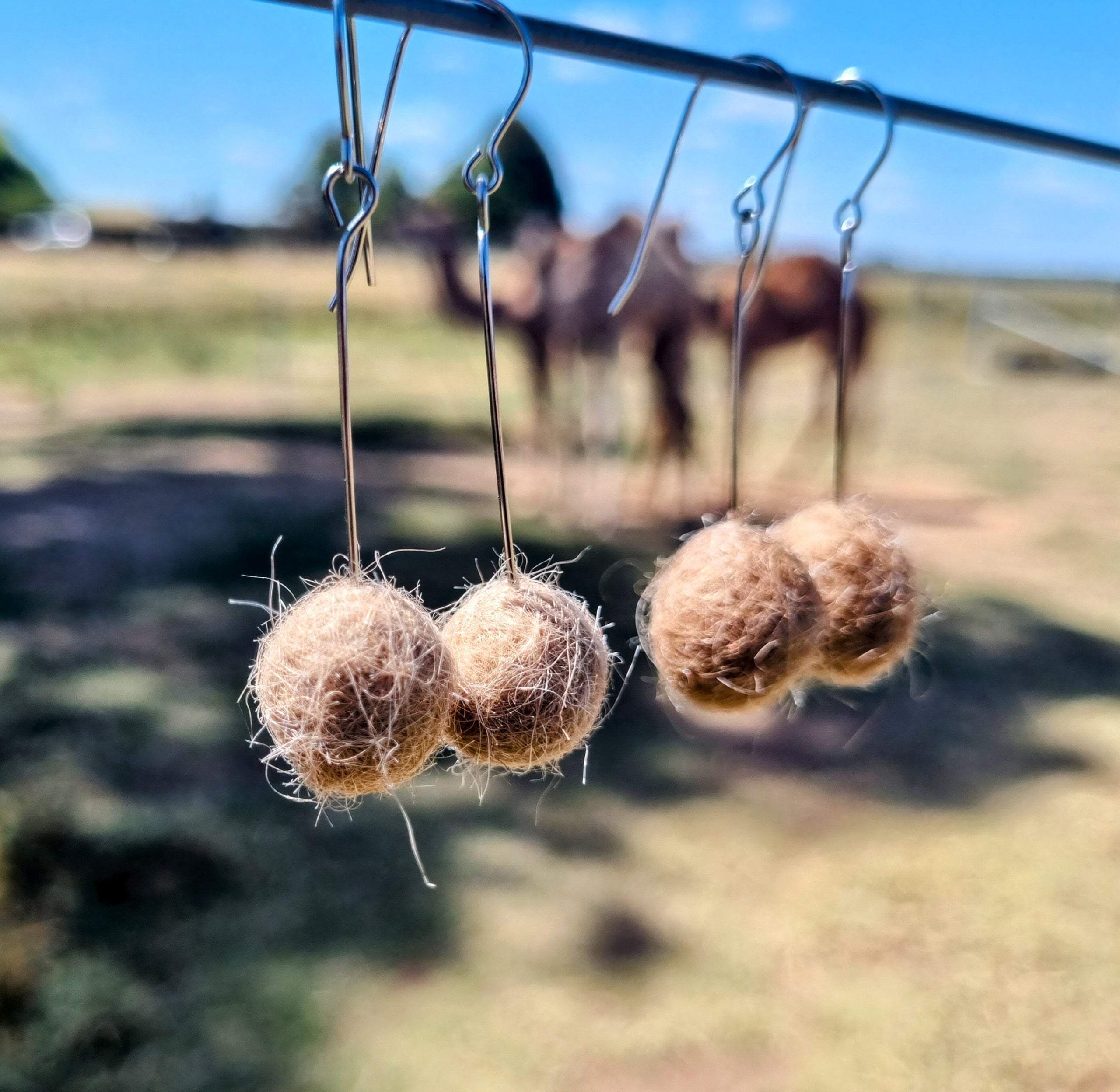 Quentin Park Alpacas & Studio Gallery