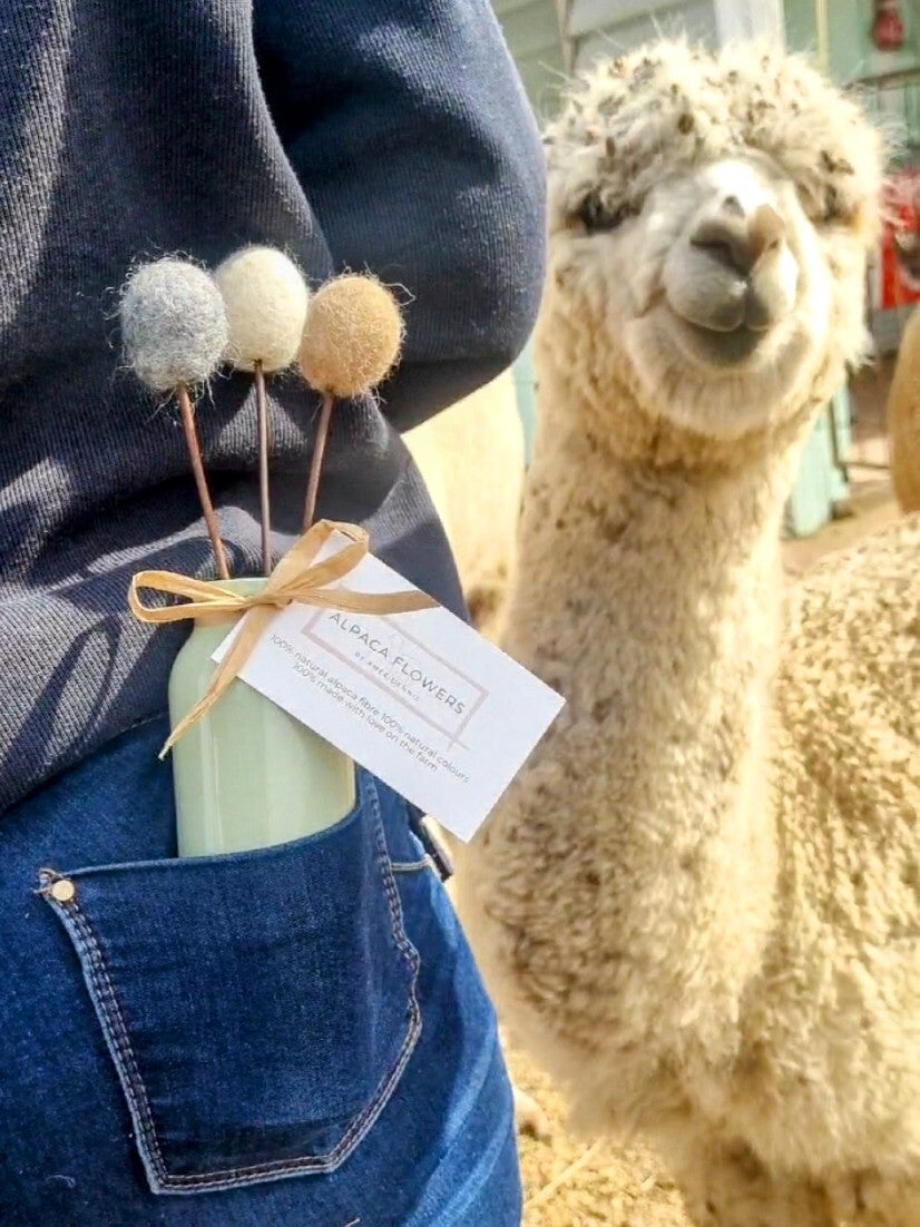 Alpaca Flower Arrangement - NEW Green Glass Bottle | Quentin Park ...