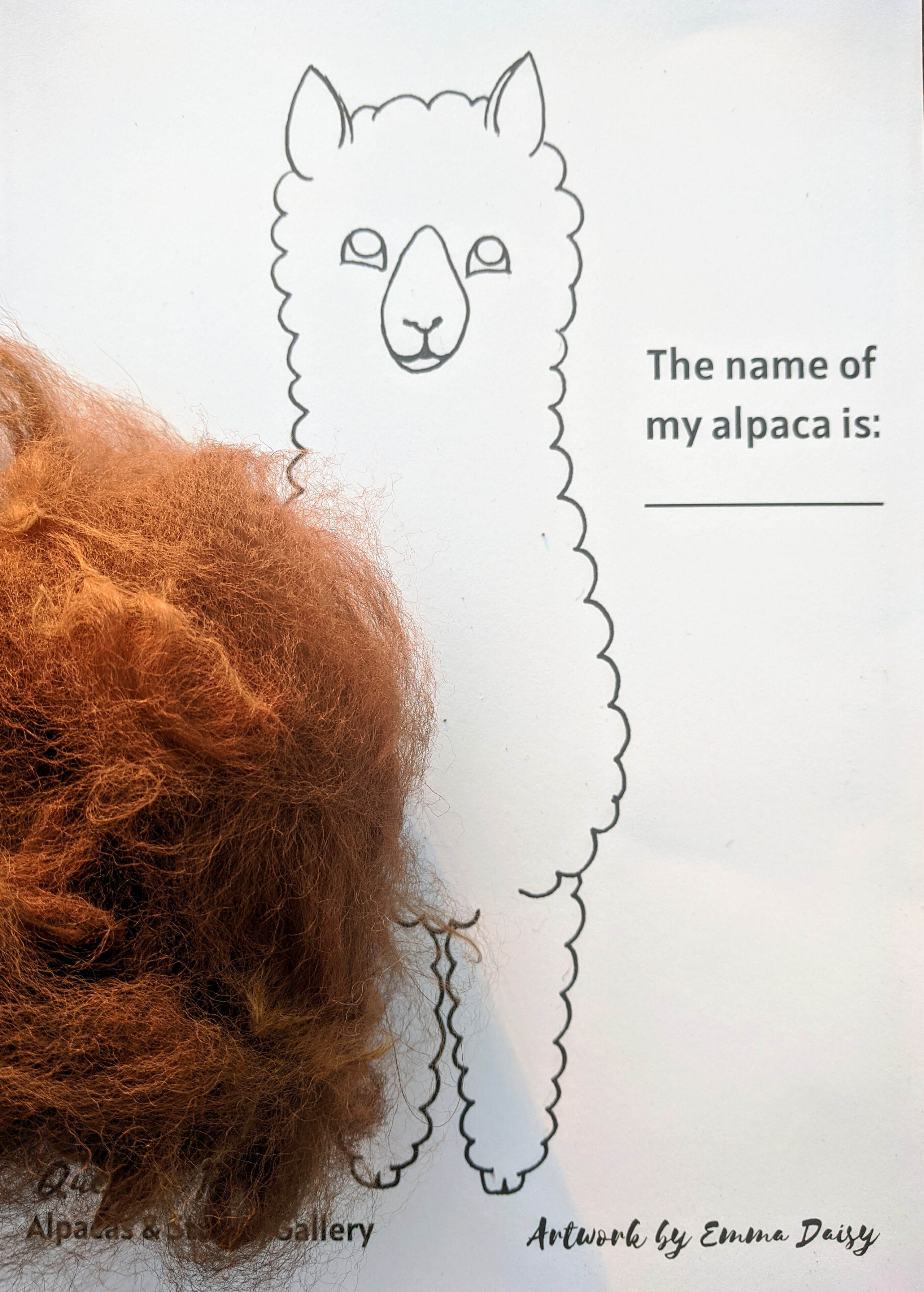 Kids Alpaca Activity Packs | Quentin Park Alpacas & Studio Gallery