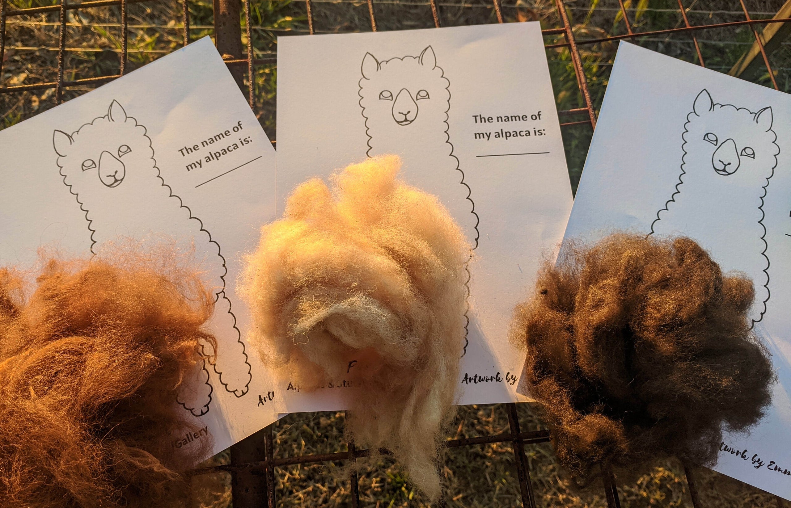 Kids Alpaca Activity Packs | Quentin Park Alpacas & Studio Gallery