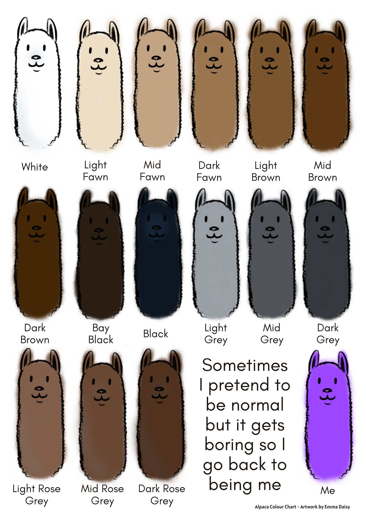 Alpaca Colour Chart Print | Quentin Park Alpacas & Studio Gallery