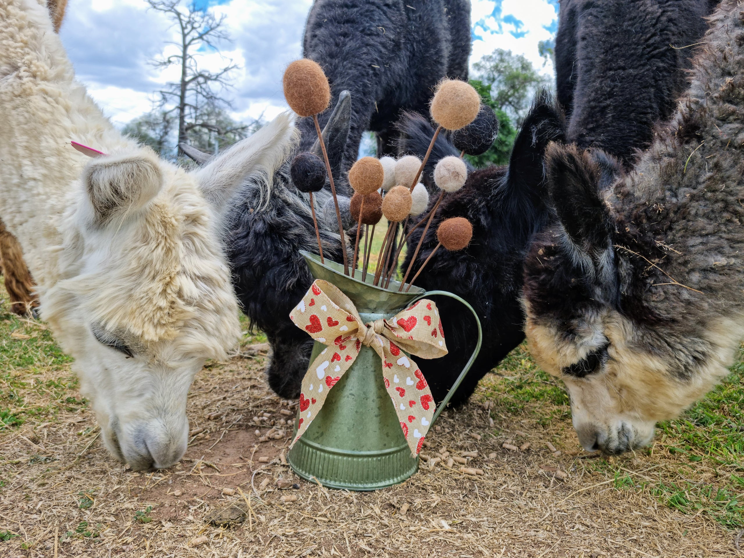 Alpaca Flower Arrangement in Metal Jug | Quentin Park Alpacas & Studio ...