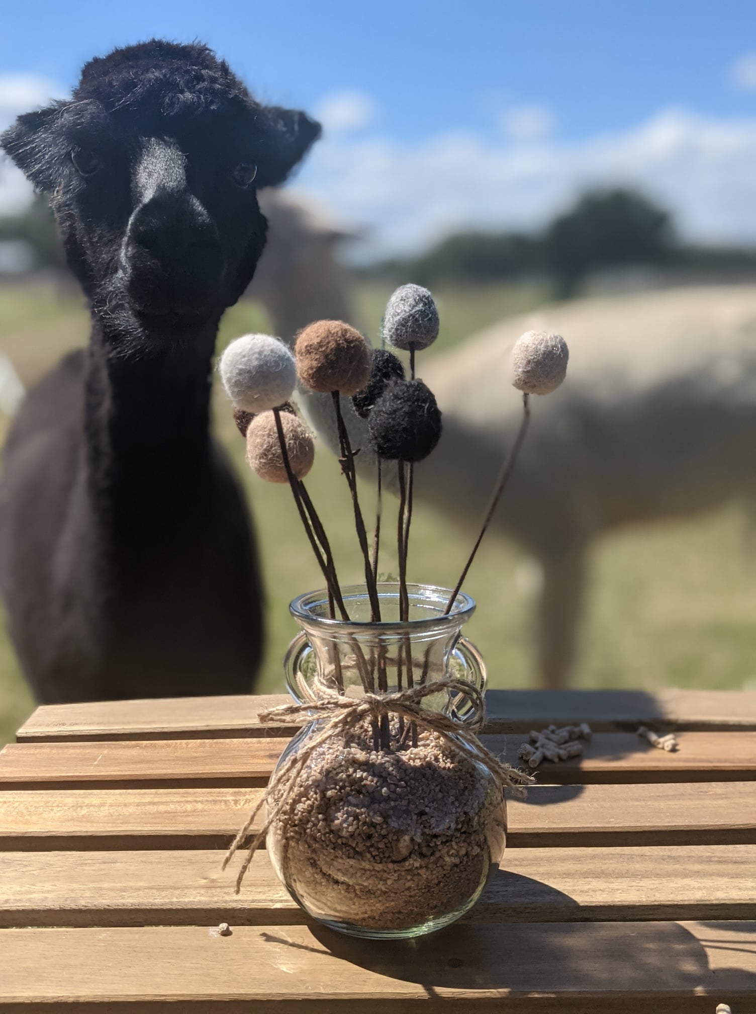 Alpaca flower arrangement in gorgeous glass vase - Limited release ...