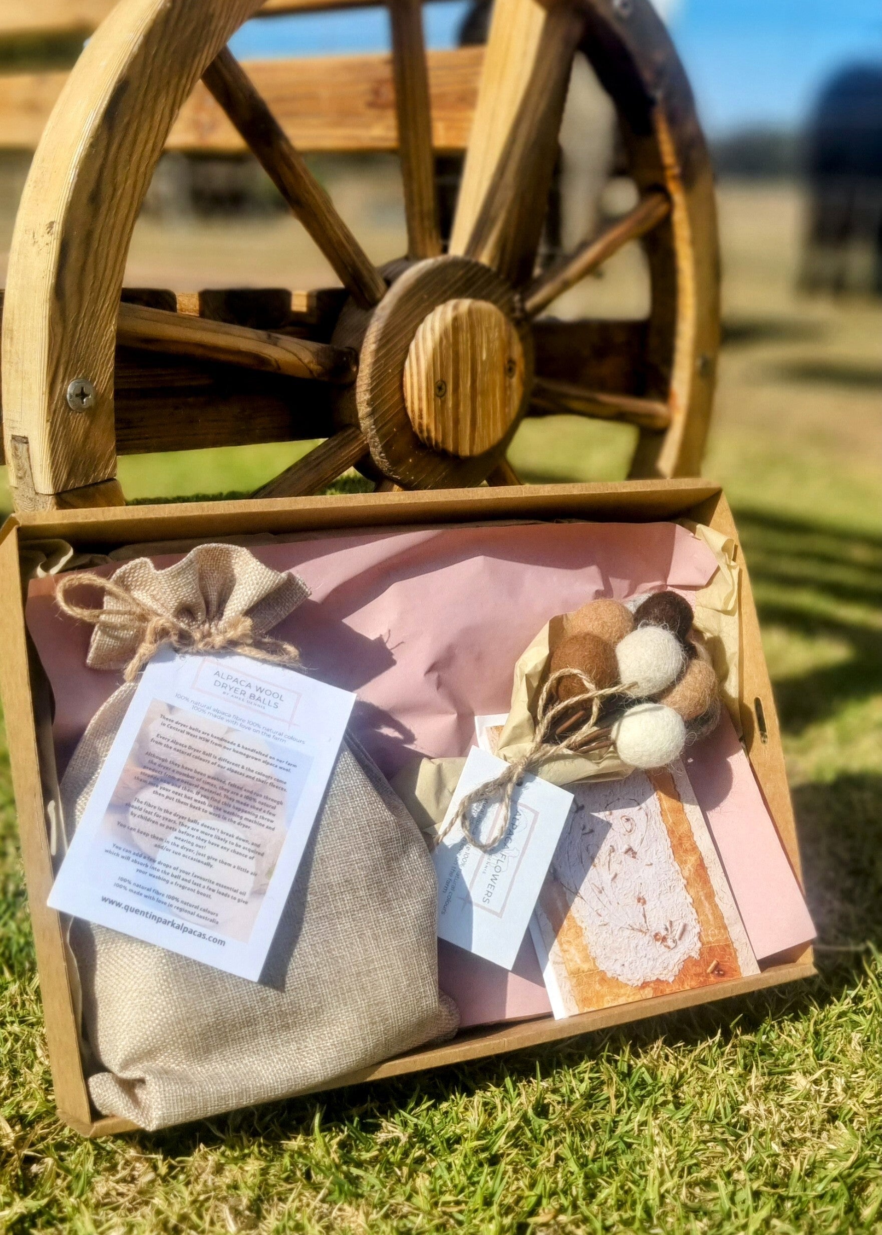 Alpaca Flower Gift Box - with Alpaca Flowers & Dryer Balls | Quentin ...