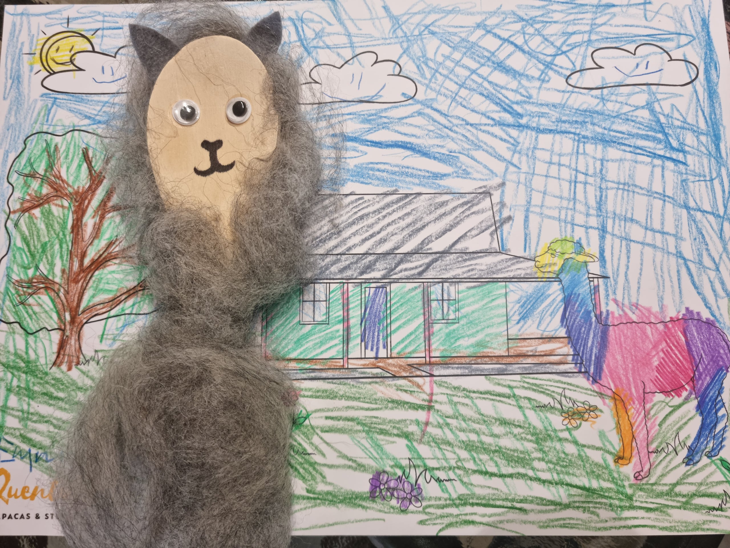 Kids Alpaca Activity Packs | Quentin Park Alpacas & Studio Gallery